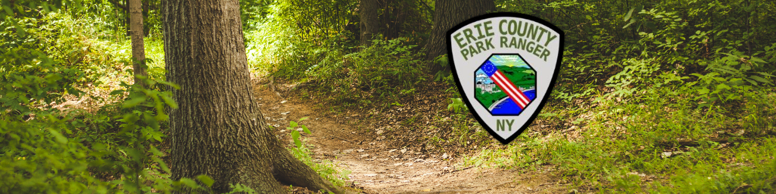 Erie County (New York) Government Home Page